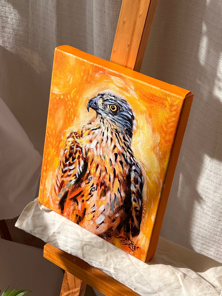 'Red Goshawk' - Oil Painting – SARAH SLATER